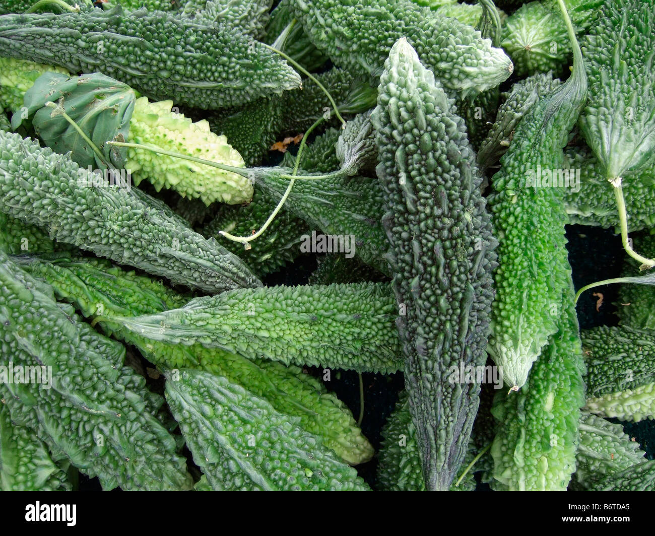 Knobbly vegetables hi-res stock photography and images - Alamy