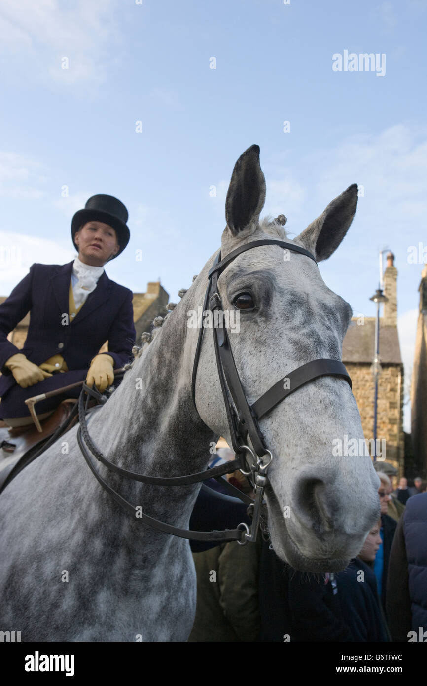 Boxing day Fox hunt meeting Masham Yorkshire UK Stock Photo - Alamy