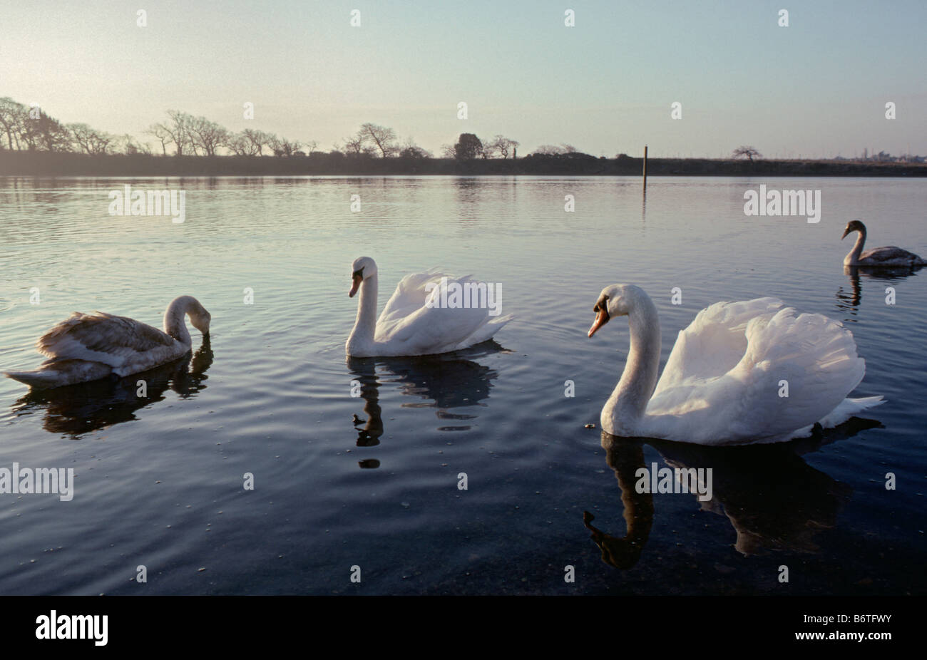 Fareham hampshire scenery hi-res stock photography and images - Alamy
