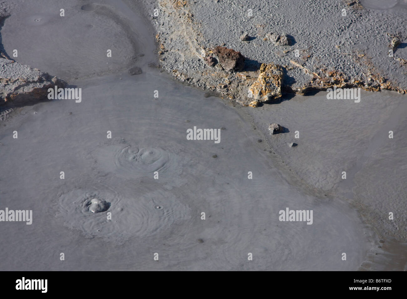 Hot mud detail at Seltun geothermial area Iceland Stock Photo - Alamy