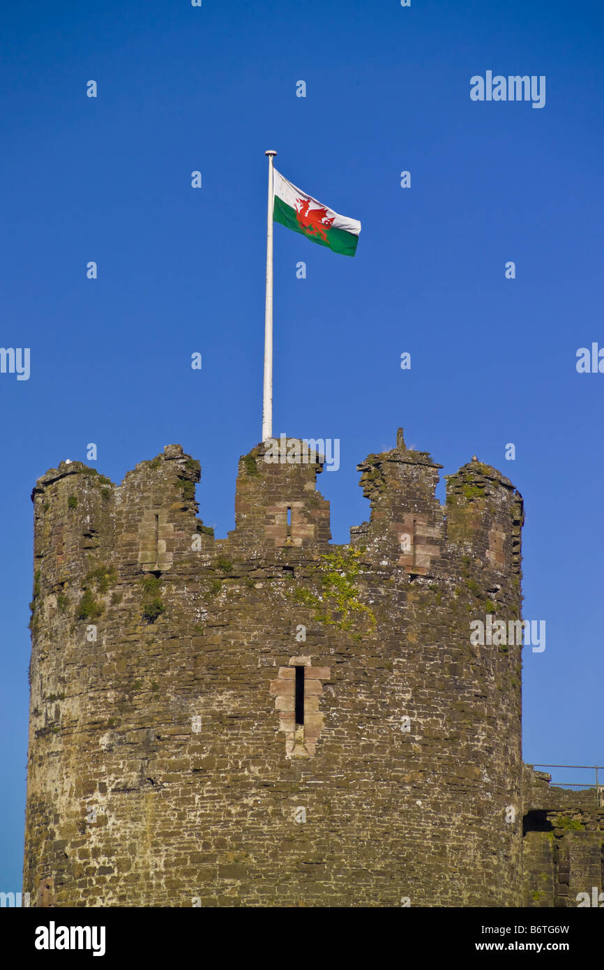 Welsh Flag flying over the tower to Conwy Castle Stock Photo - Alamy