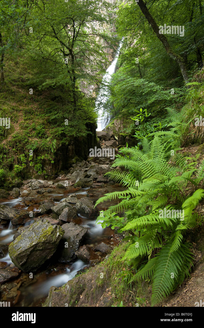 Gray mare waterfall hi-res stock photography and images - Alamy