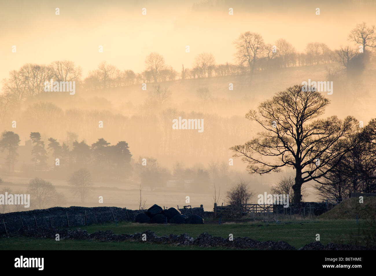 Morning mist, or inversion fog, over farmland in valley of the River ...