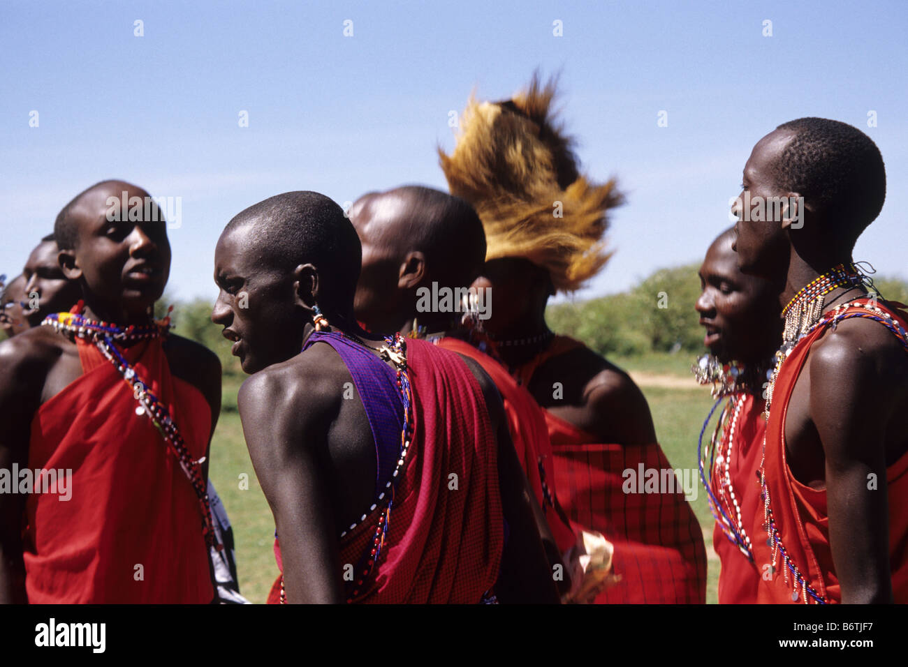Maasai Performing a Welcome Dance Stock Photo - Alamy