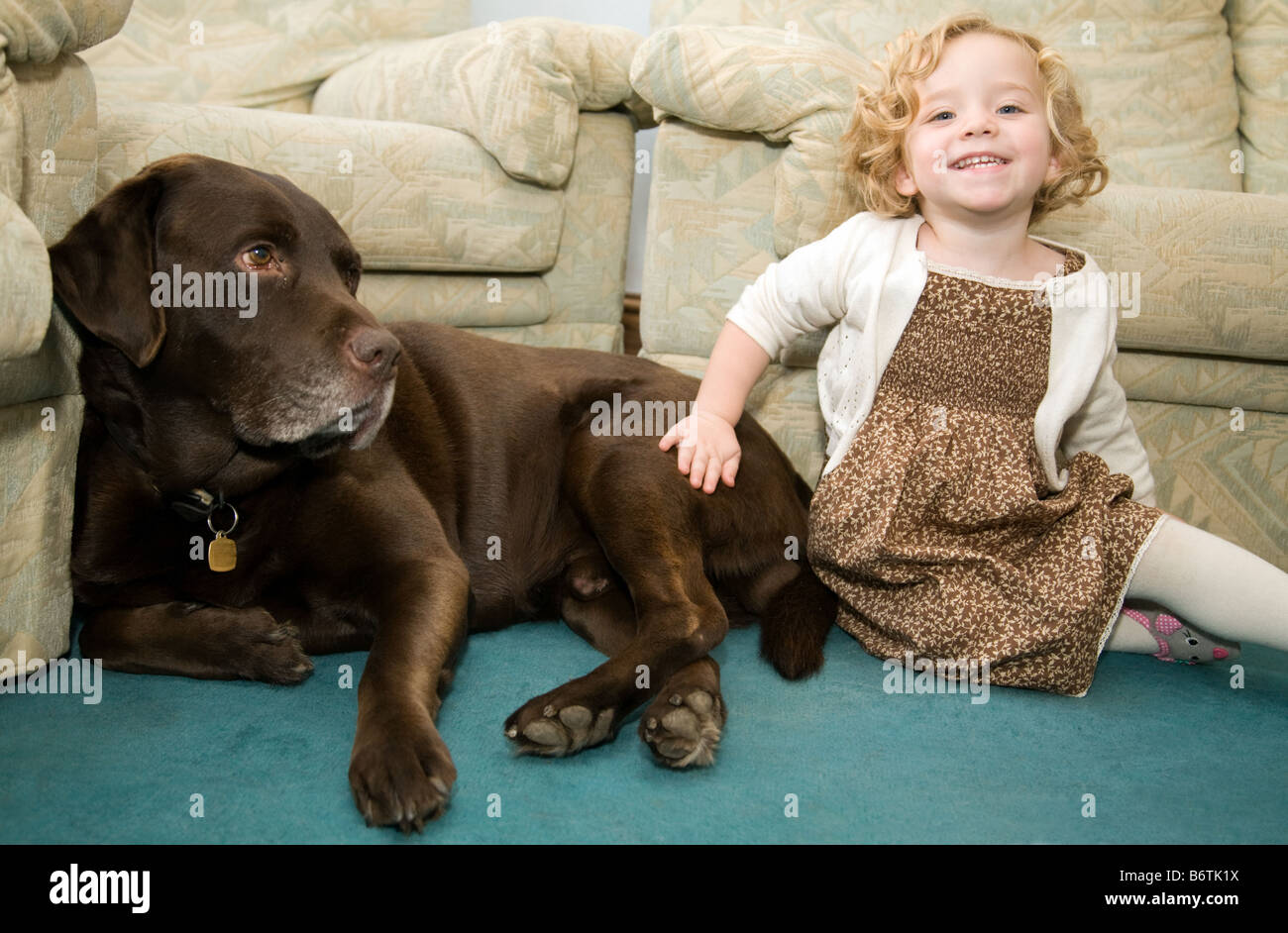 A young blonde girl sitting with her pet Chocolate labrador Stock Photo ...