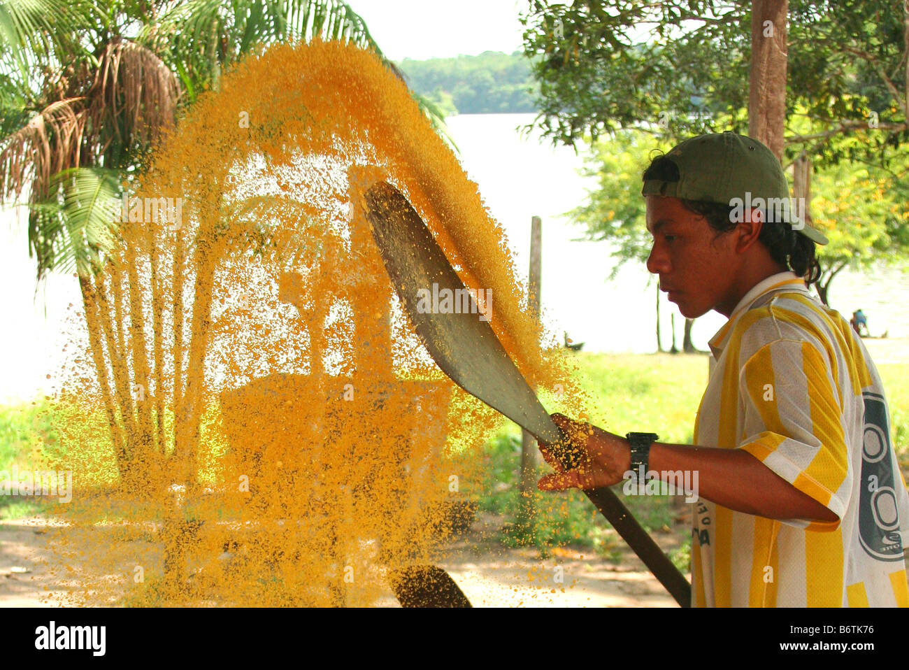 Manioc flour hi-res stock photography and images - Alamy