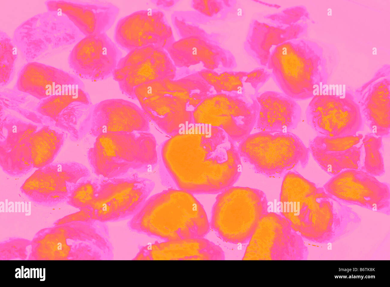 Digitally altered photograph hi-res stock photography and images - Alamy