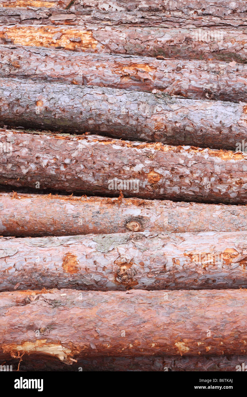 Timber wood log hi-res stock photography and images - Alamy