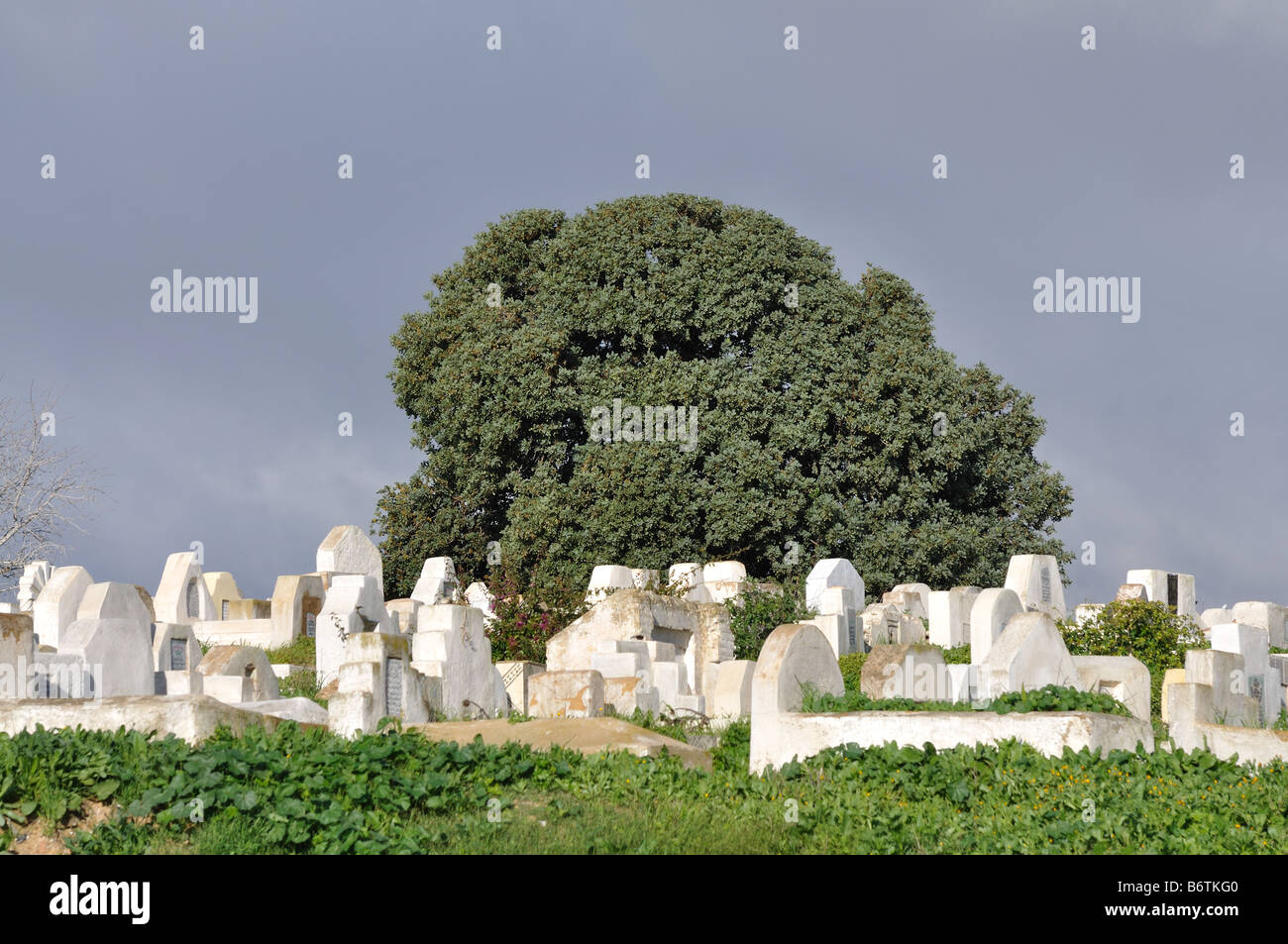 Arabic cemetery gravestone tombstone hi-res stock photography and ...