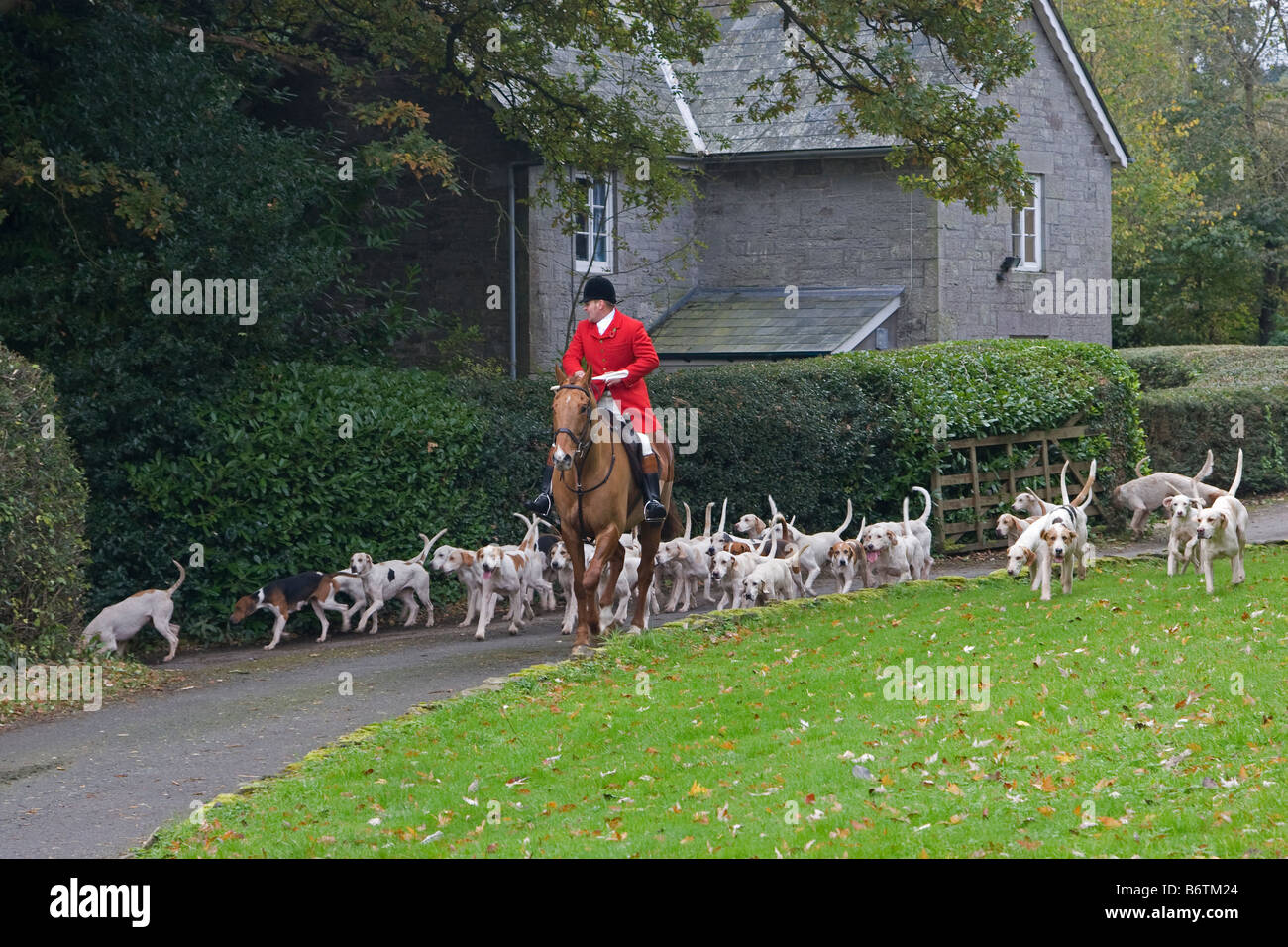 Hunts master hounds hi-res stock photography and images - Alamy