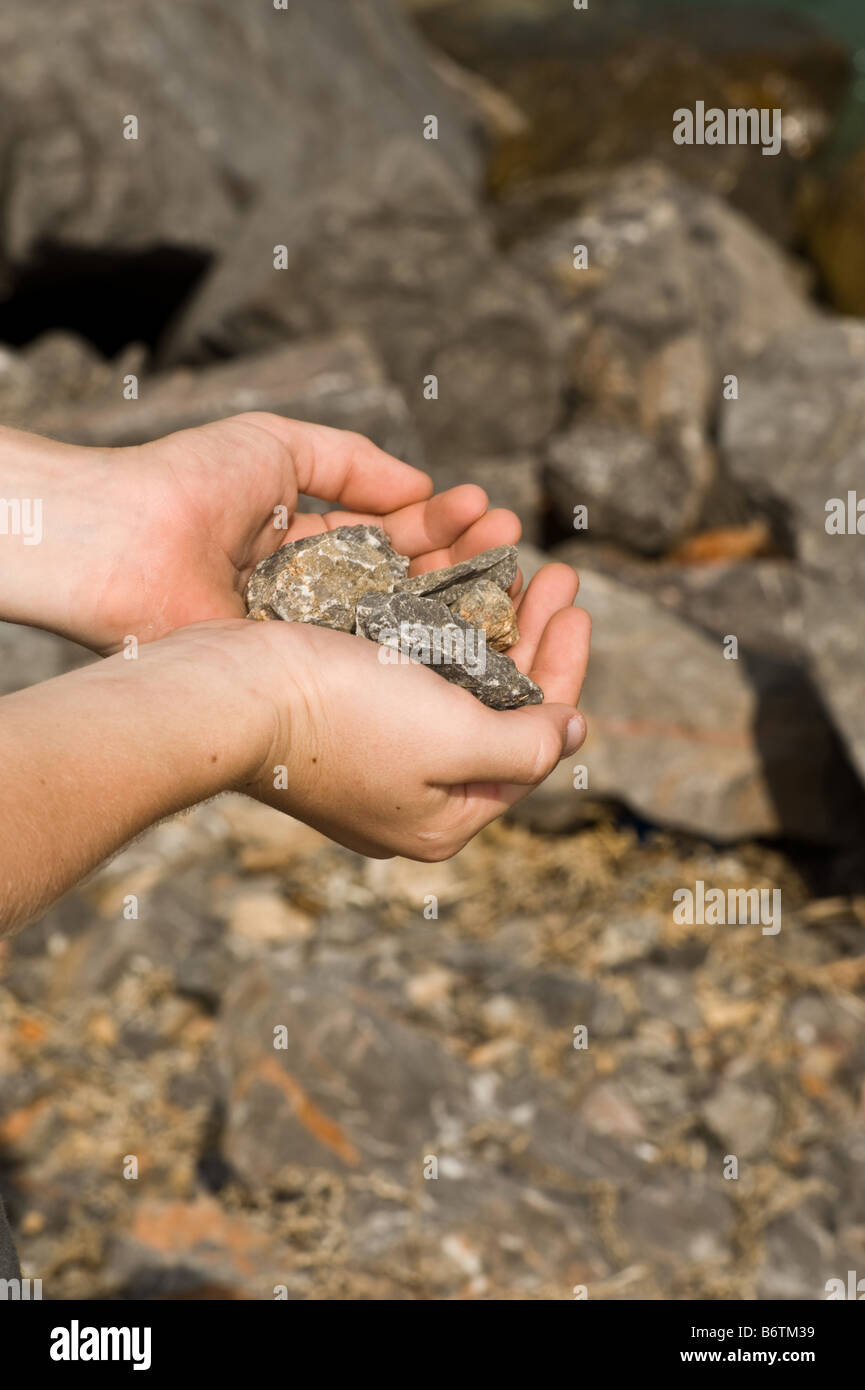 A childs hands holding rocks Stock Photo - Alamy