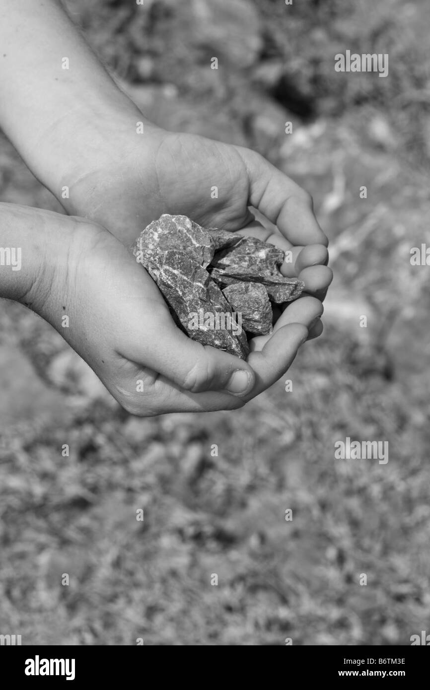 A childs hands holding rocks Stock Photo - Alamy