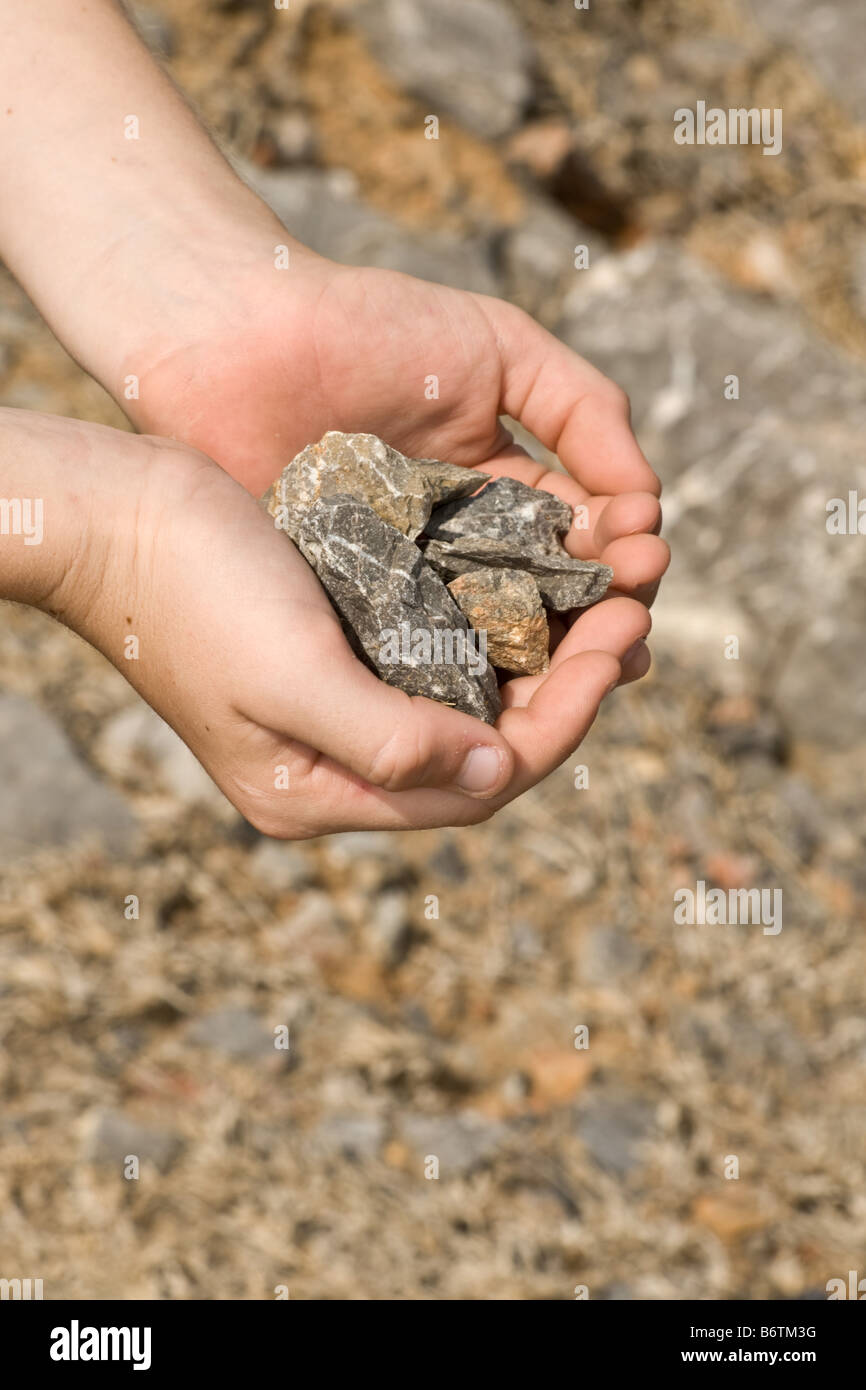 A childs hands holding rocks Stock Photo - Alamy