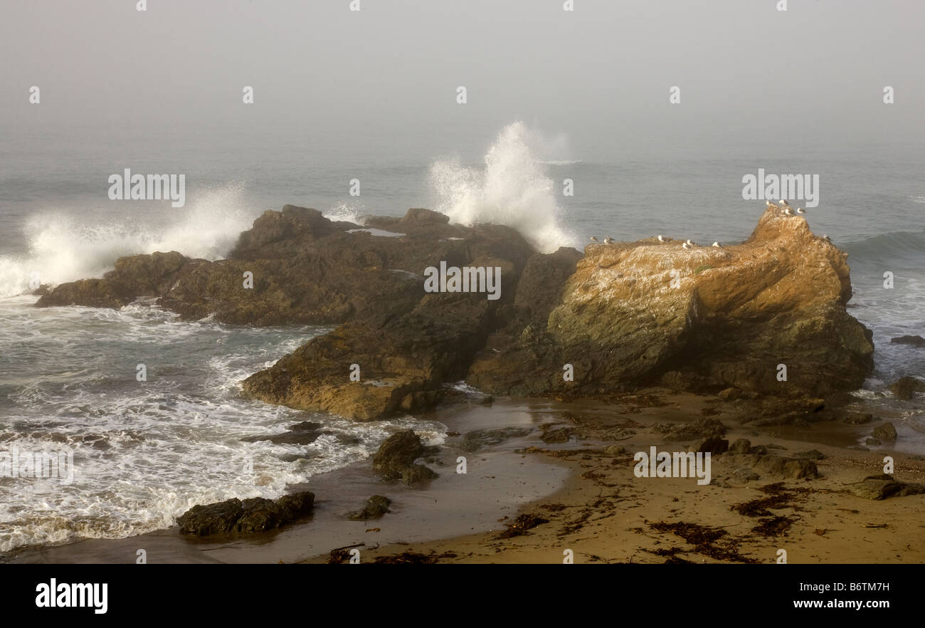Wave crashing on rock hi-res stock photography and images - Alamy