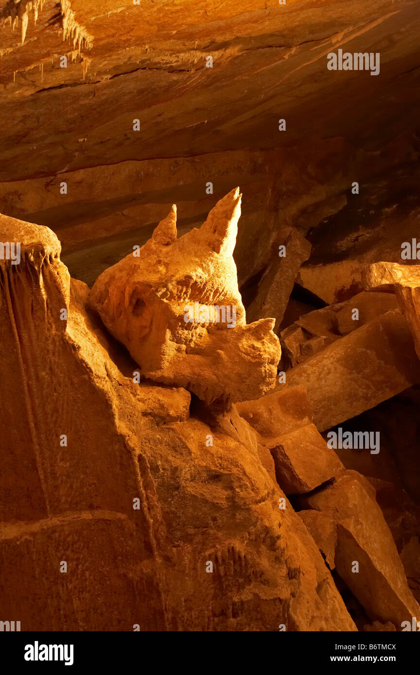 Rhinocerous Stalagmite Lucas Cave Jenolan Caves Blue Mountains New ...