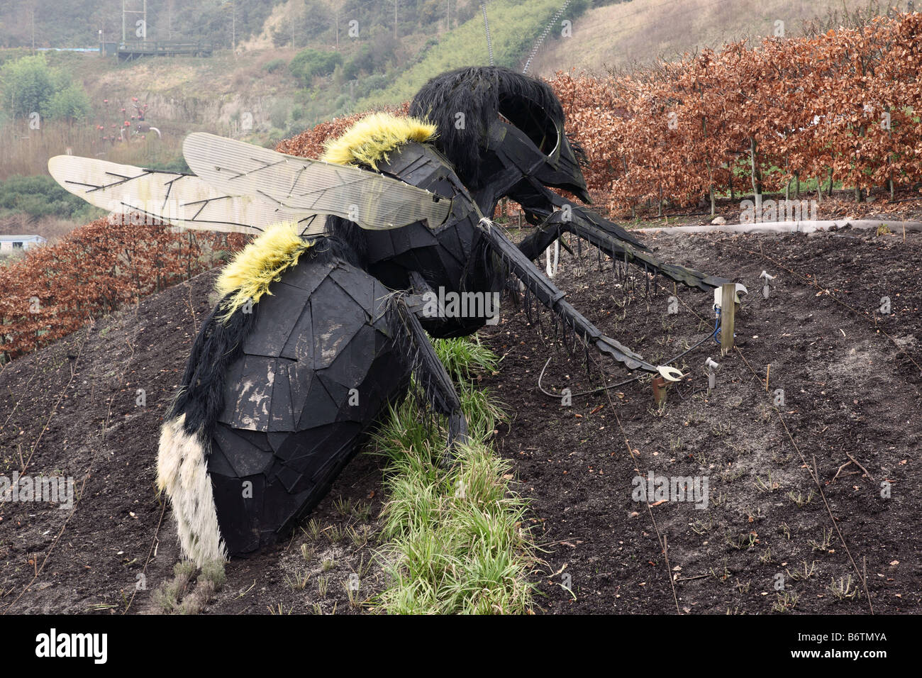 Exhibition eden project hi-res stock photography and images - Alamy