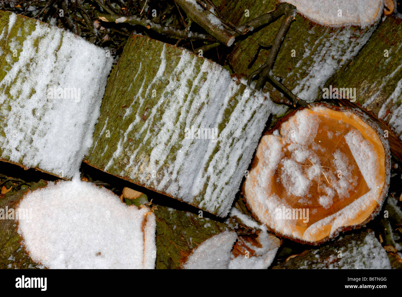pile of snow covered fire wood Stock Photo - Alamy