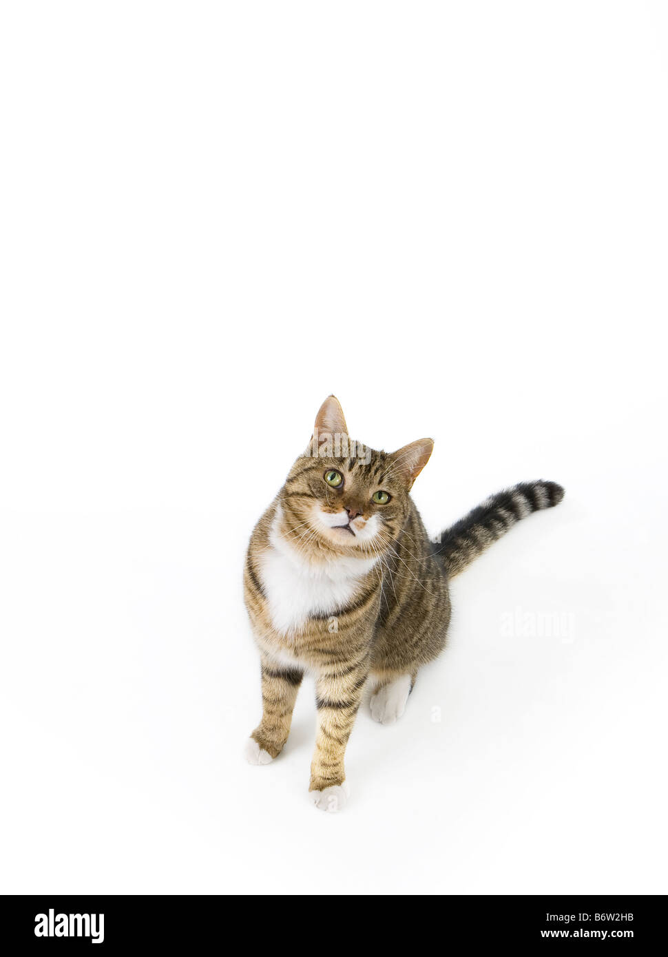 Fascinated hi-res stock photography and images - Alamy