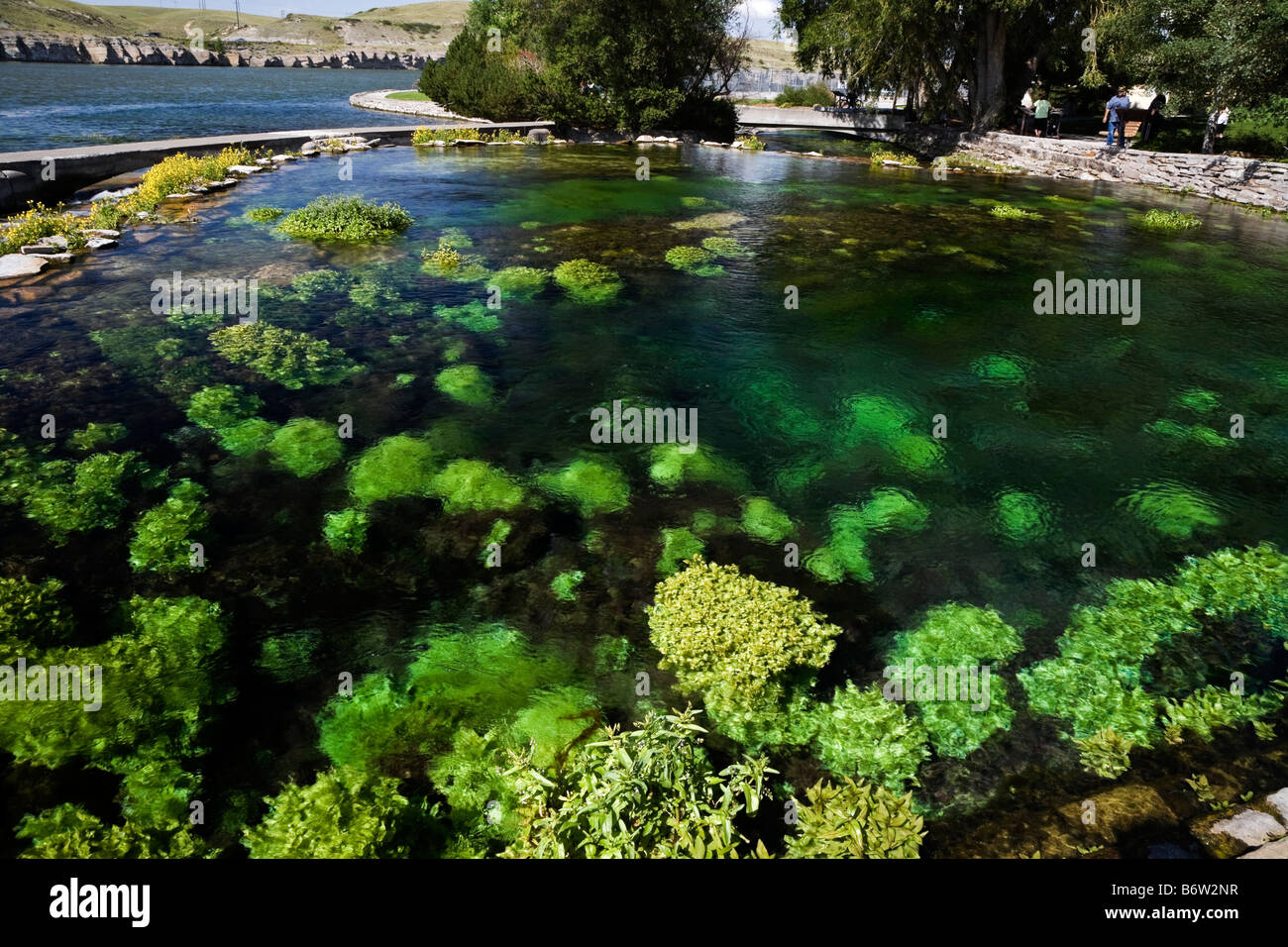 Giant Springs State Park, Missouri River, Great Falls, Montana, USA ...