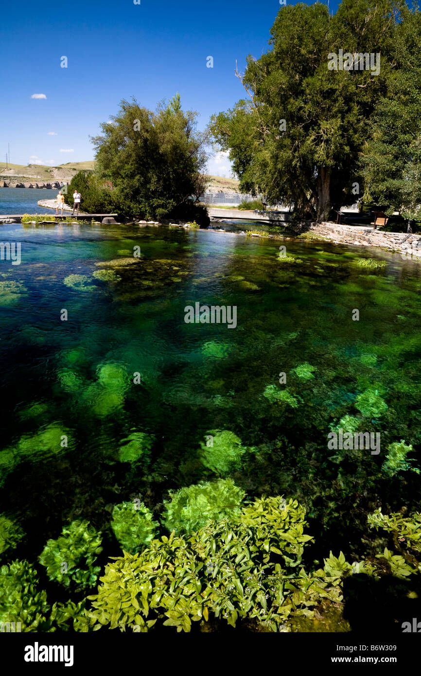 Giant Springs State Park, Missouri River, Great Falls, Montana, USA ...