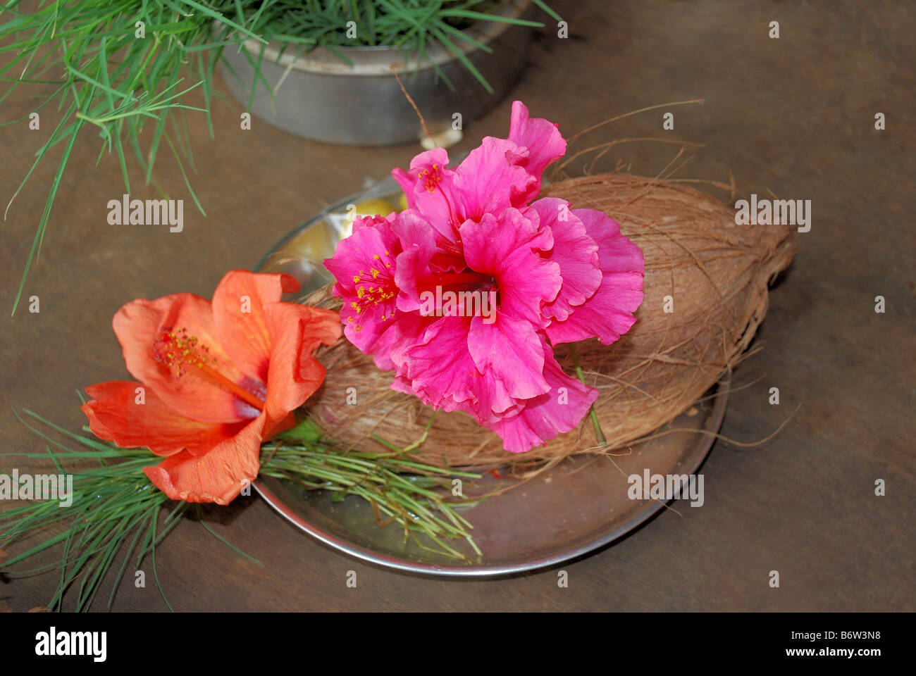 Plate of offerings to Lord Ganesh consting of Jaswanda flowers and ...