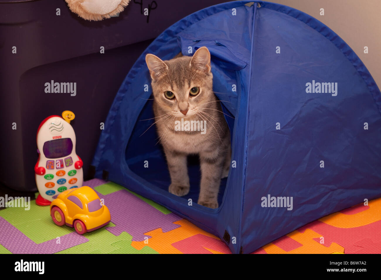 Funny camping hi-res stock photography and images - Alamy