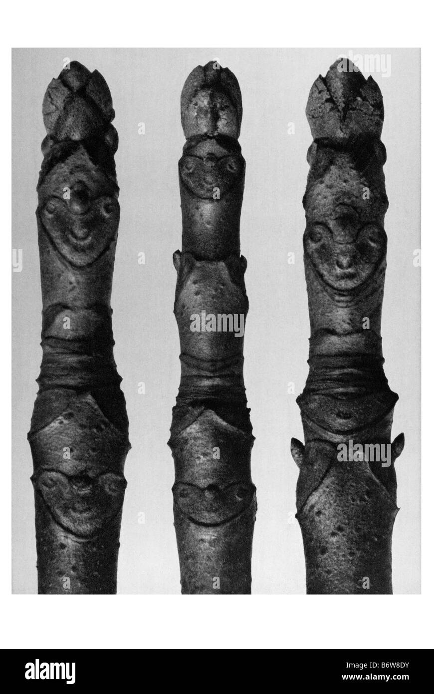 Ancient times horse Black and White Stock Photos & Images - Alamy