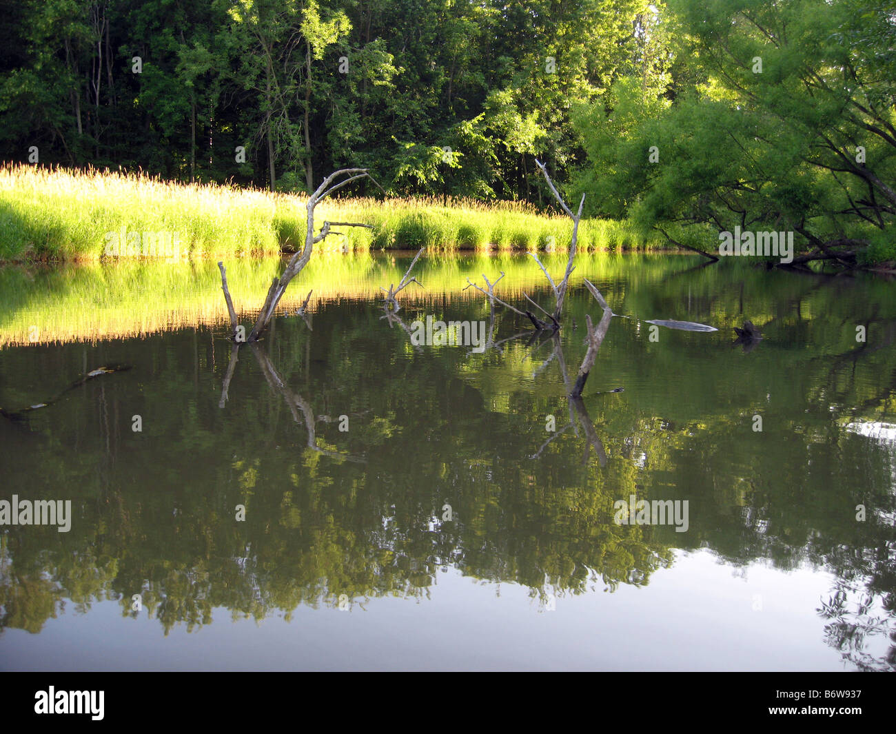 Section of the Galien River near New Buffalo Michigan Stock Photo - Alamy