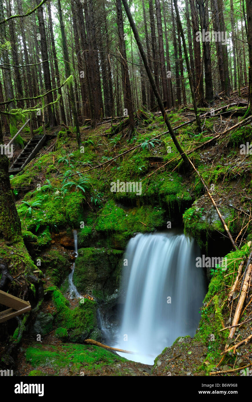 water source british columbia canadian forest Stock Photo - Alamy