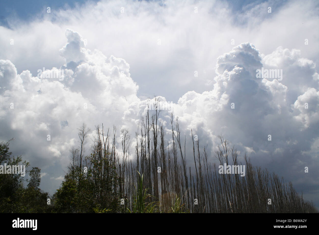 Thunderhead Cloud Stock Photos & Thunderhead Cloud Stock Images - Alamy