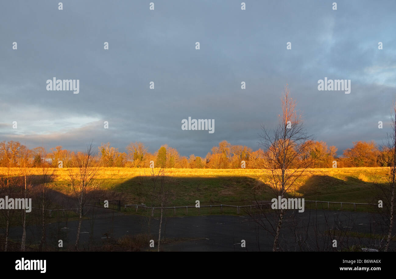 Sunrise over trees and yellow field Stock Photo - Alamy