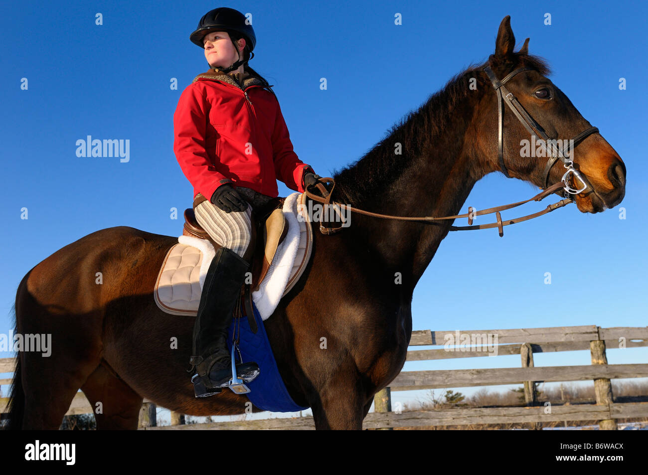 Young female horseback rider in red jacket looking back into the sun ...