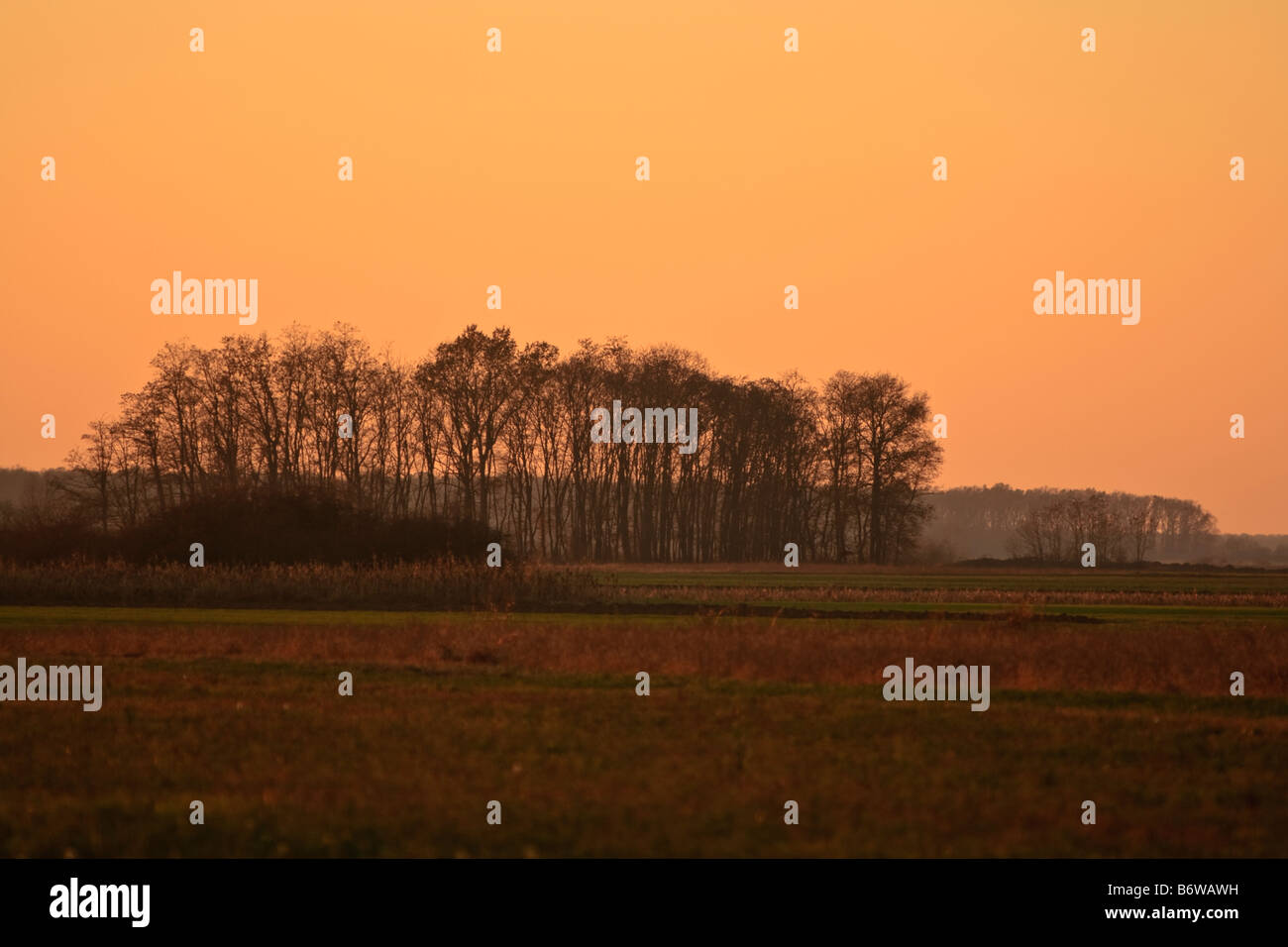 countryside in the dusk Stock Photo - Alamy