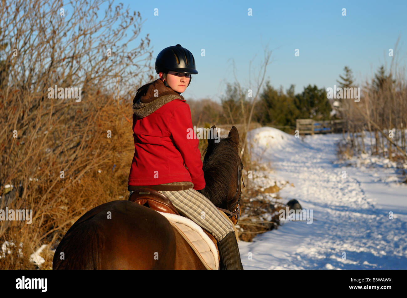 Female teenager on horse horseback rider looking back outside on a hack ...