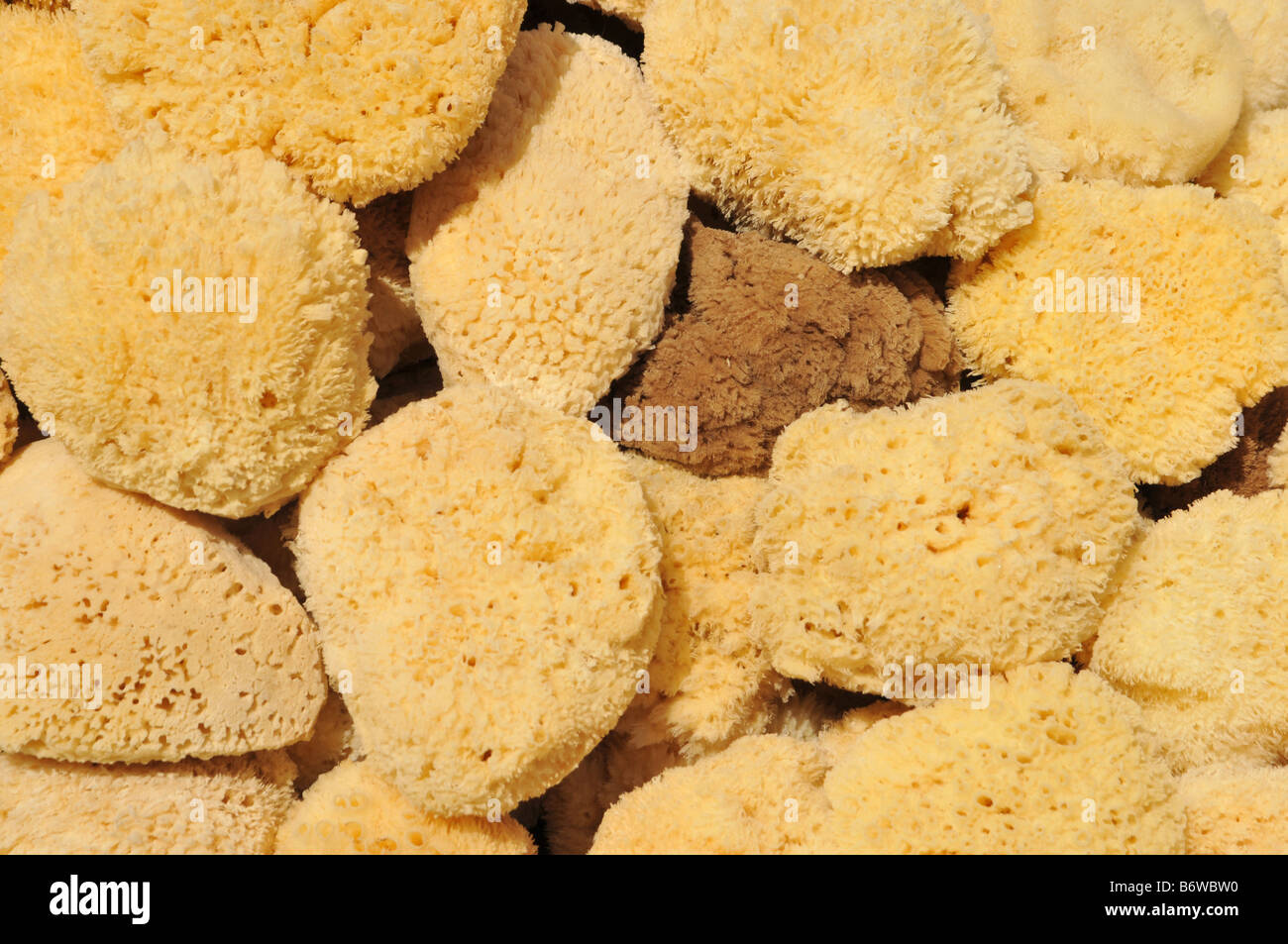 Greek natural sponges hi-res stock photography and images - Alamy