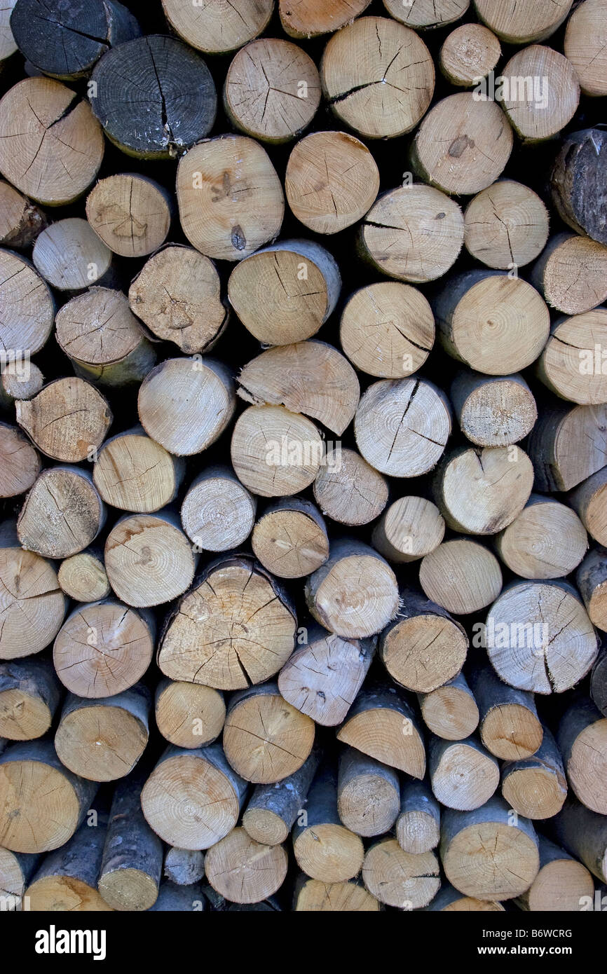 Neatly stacked pile of wood hi-res stock photography and images - Alamy