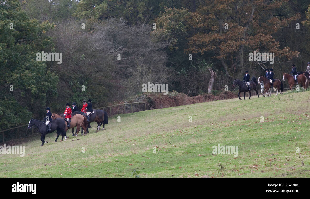 Riders at a fox hunt Stock Photo - Alamy