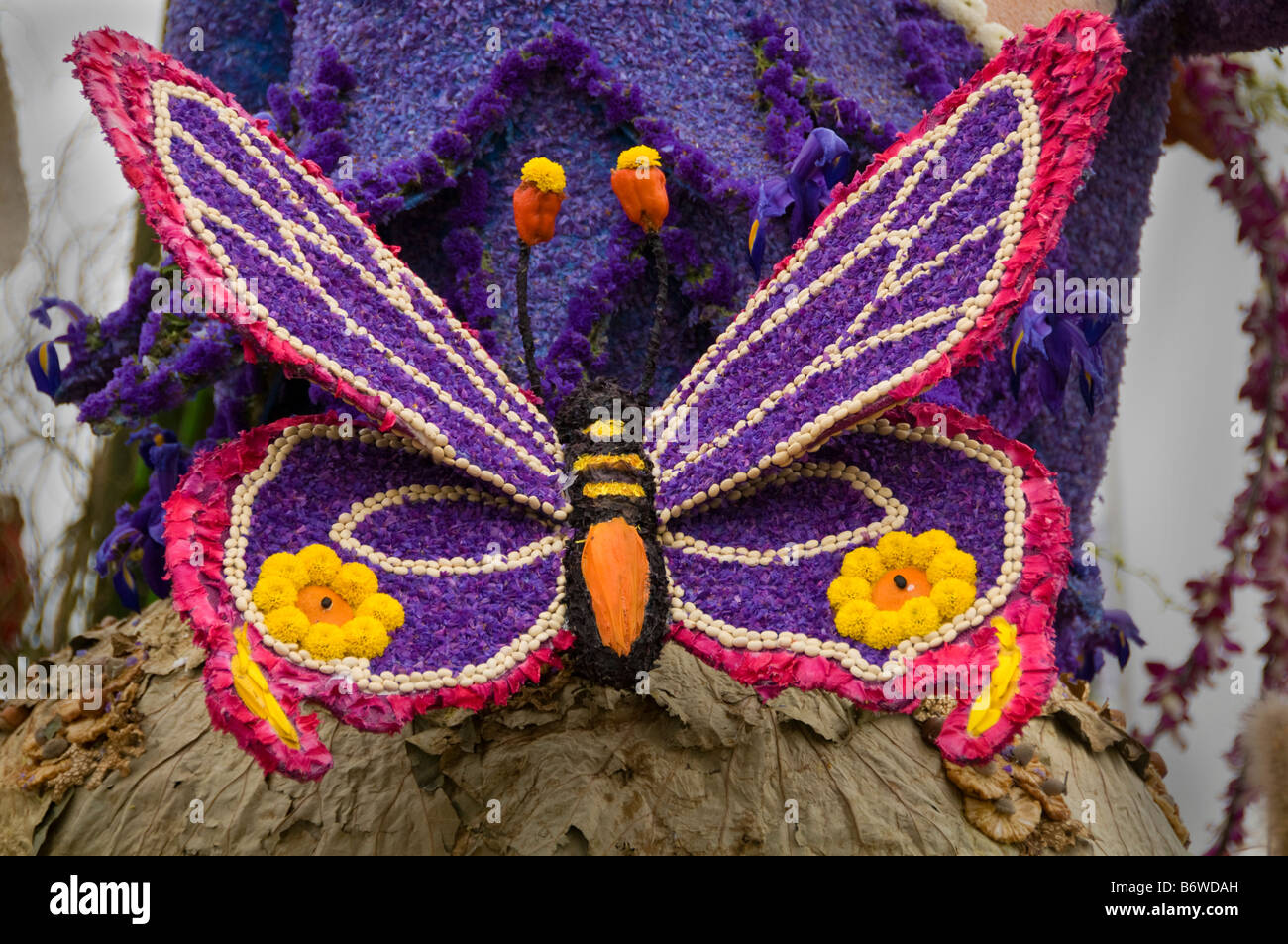 Butterfly yellow roses hi-res stock photography and images - Alamy