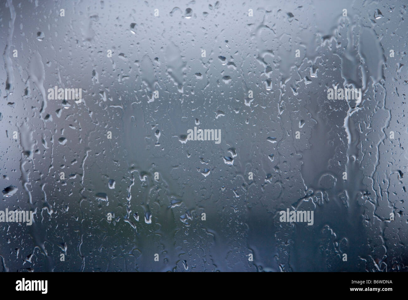 backdrop of raindrops running down a sheet of glass Stock Photo - Alamy