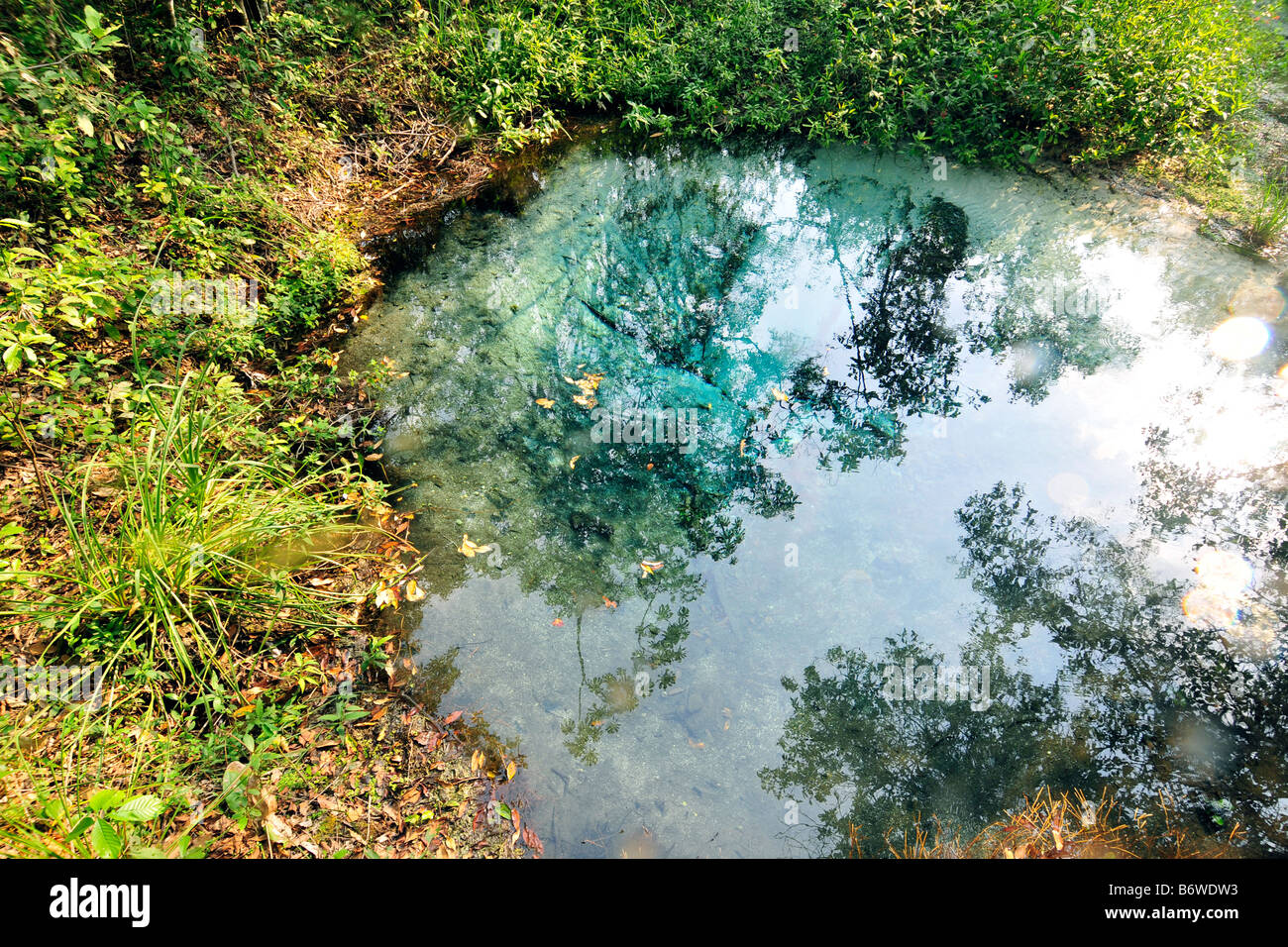Spring at Sucuri River Bonito Mato Grosso do Sul Brazil Stock Photo - Alamy