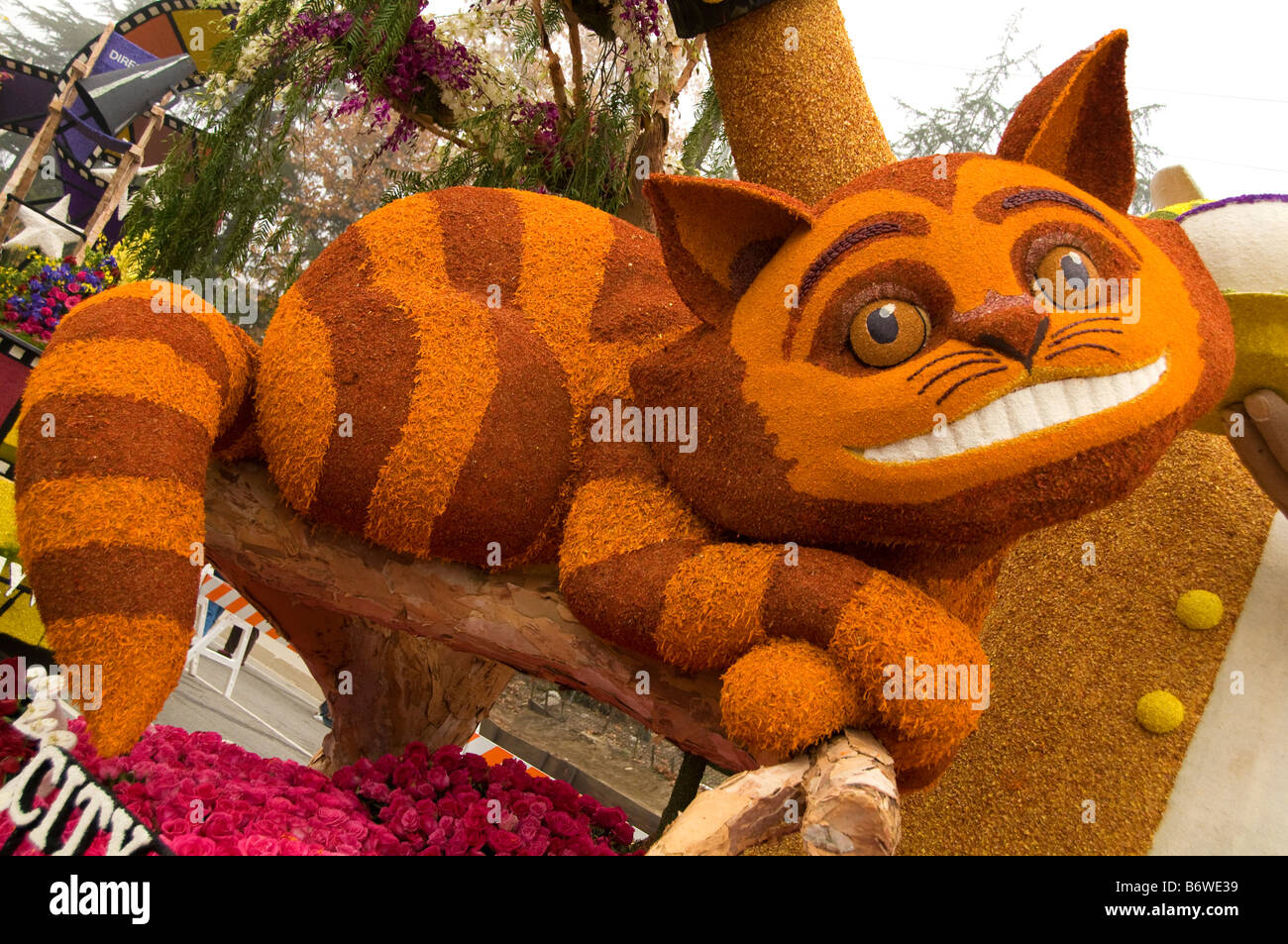 Cat with rose hi-res stock photography and images - Alamy