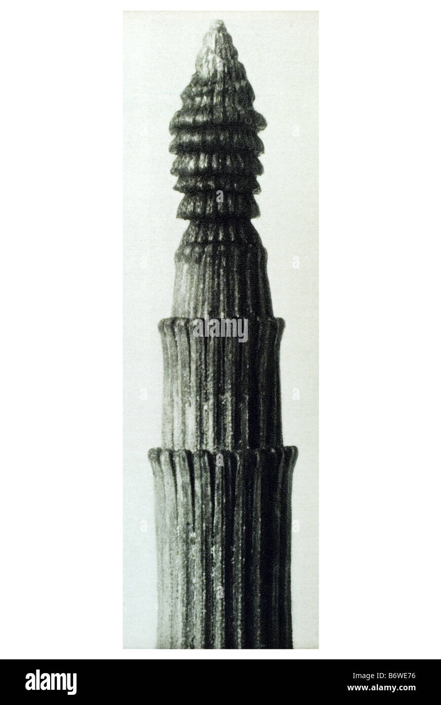 Horsetail detail hi-res stock photography and images - Alamy