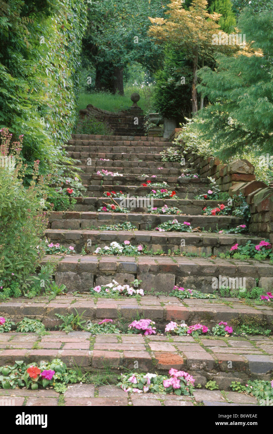 Impatiens hillside hi-res stock photography and images - Alamy