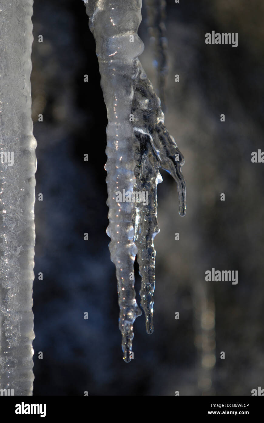 Melting icicle formations, Glenshee, Scotland Stock Photo - Alamy