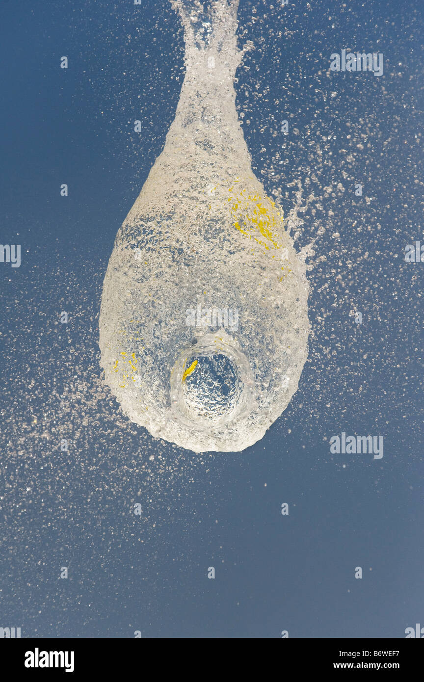 Water balloon bursting against a blue sky. India Stock Photo - Alamy