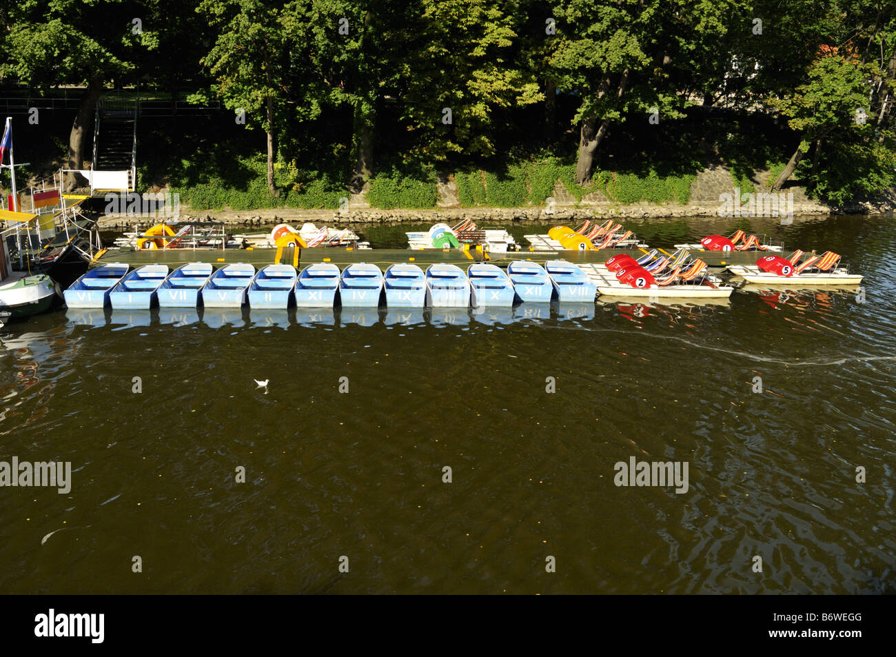 Vltava prague rowing hi-res stock photography and images - Alamy