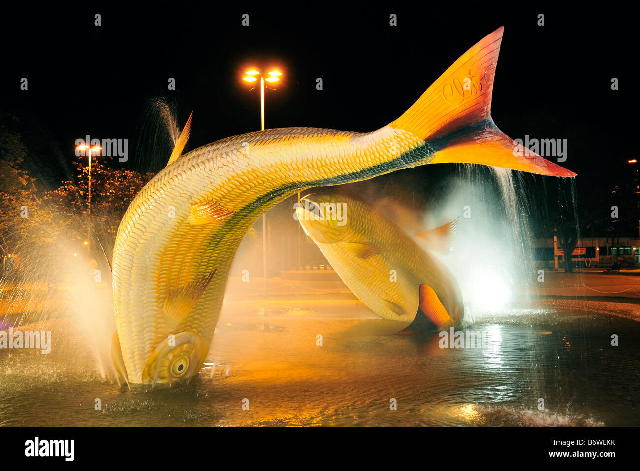 Piraputanga Fish High Resolution Stock Photography and Images - Alamy