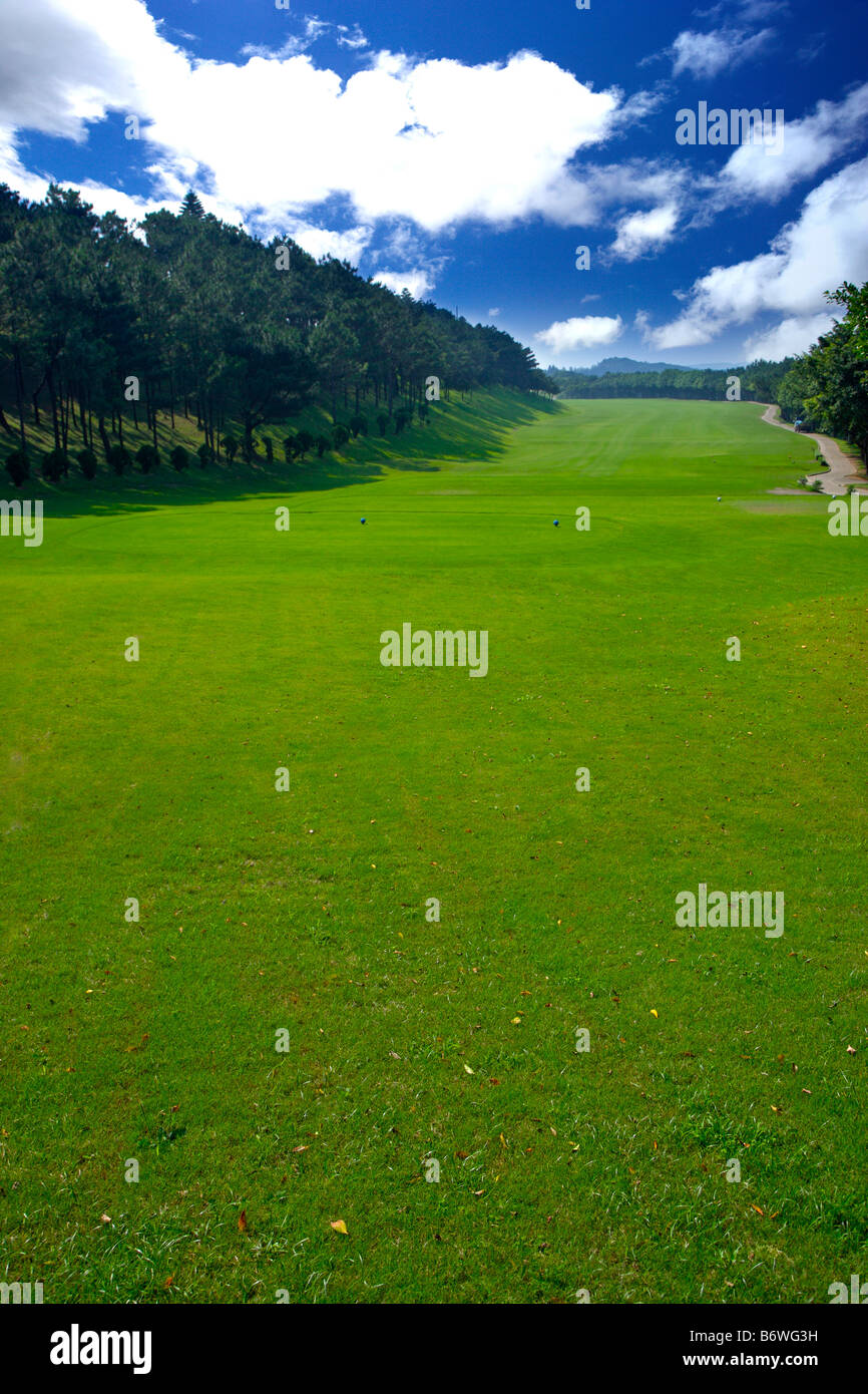 Green in golf course Stock Photo - Alamy