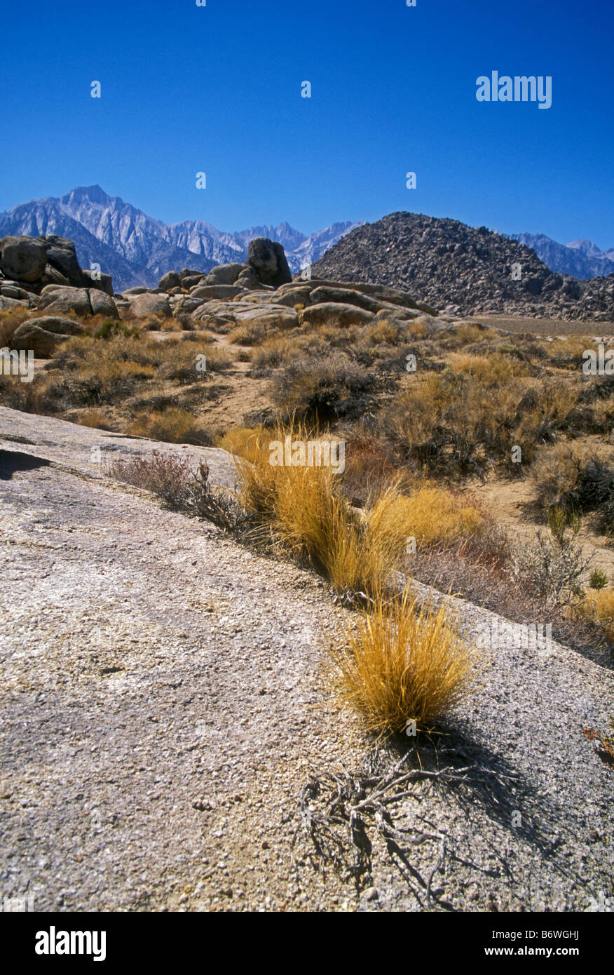 Mount Whitney in the Sierra Nevada, the highest peak of the lower 48 ...