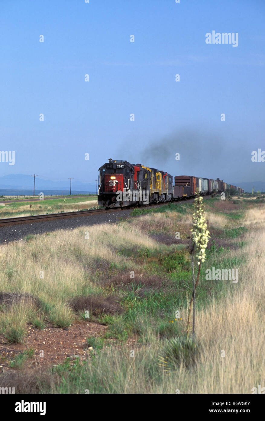 Freight train texas hi-res stock photography and images - Alamy